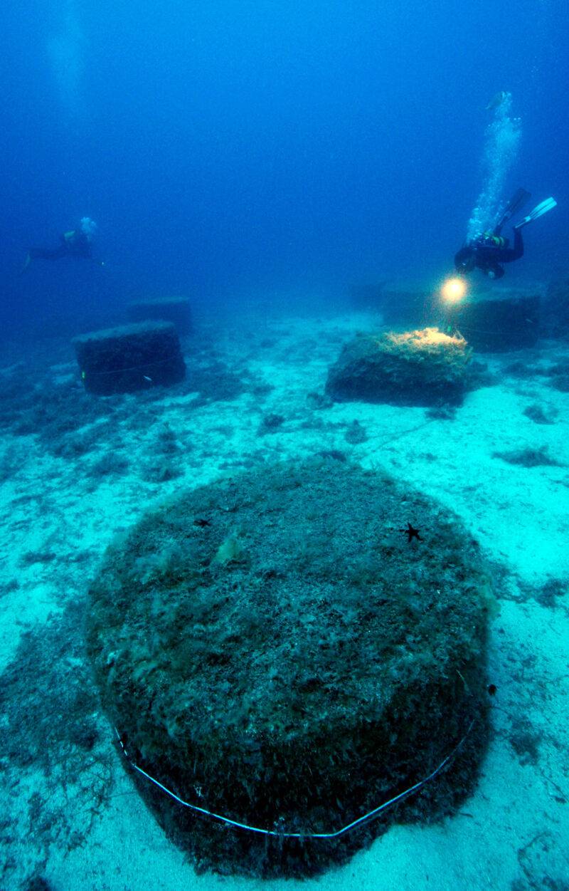 Underwater Photography: No Under Estimating It | Susannah Snowden-Smith